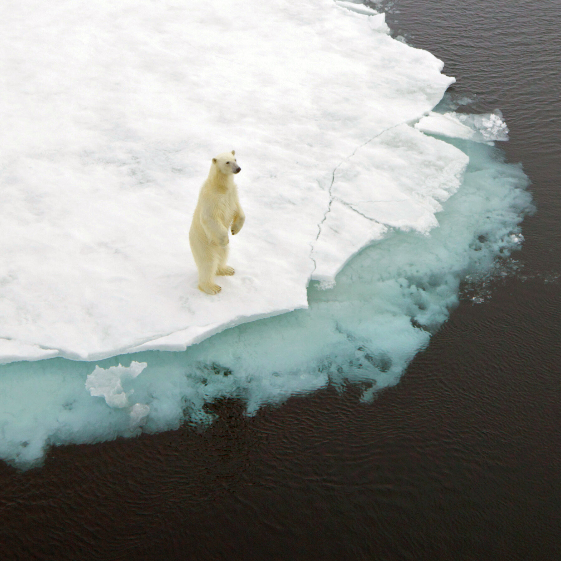 Best Time To Visit Churchill Manitoba Best Time To Visit Churchill Manitoba